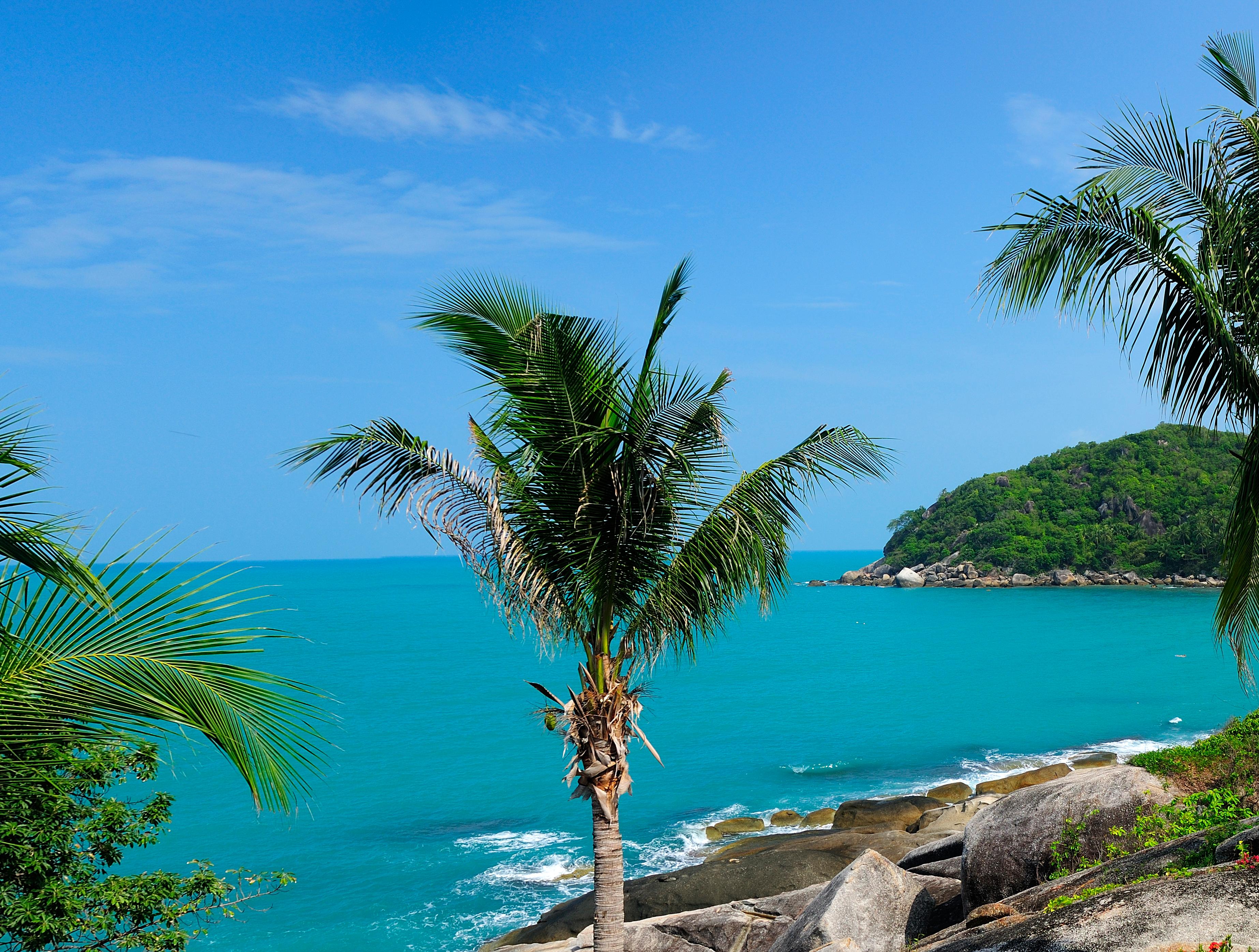 Ko Samui: Der Online-Reiseführer von MARCO POLO