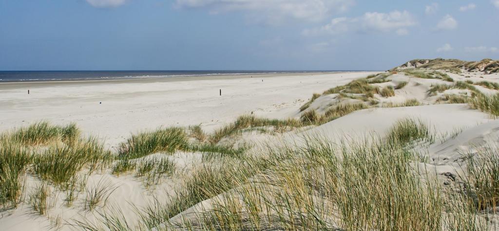 Oost-Vlieland Reiseführer, Reise & Reisetipps – MARCO POLO